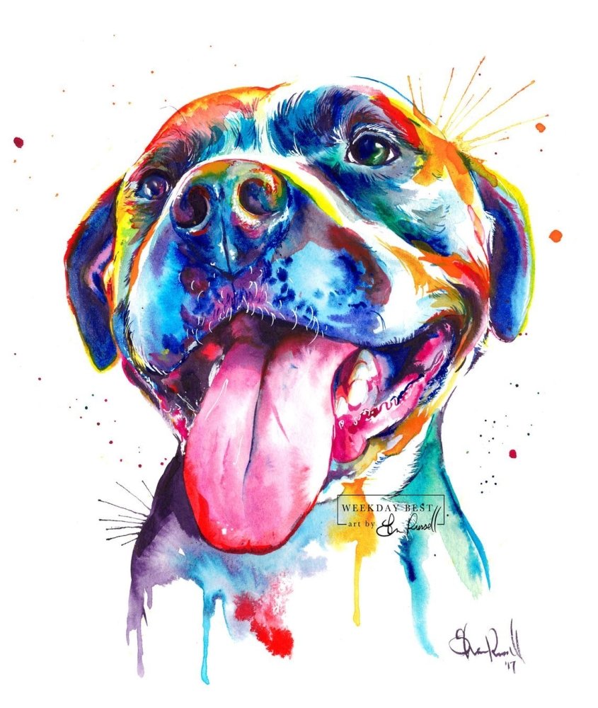 Pitbull - Watercolor Print – Shaunna Russell