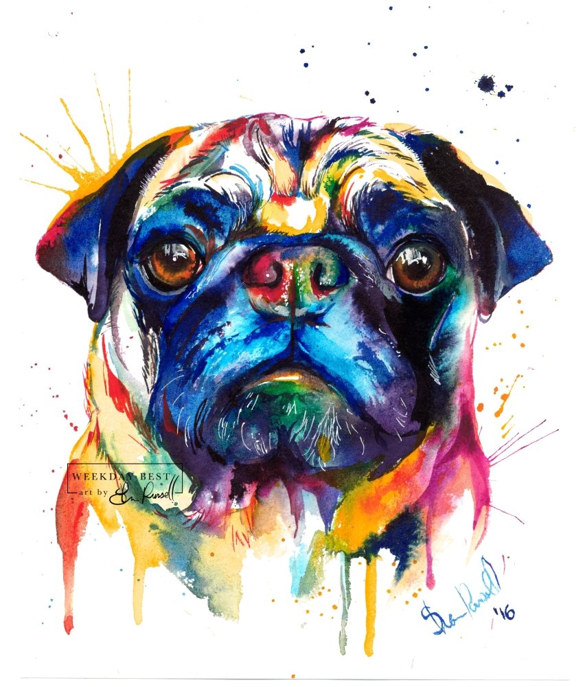 Pug - Watercolor Print – Shaunna Russell
