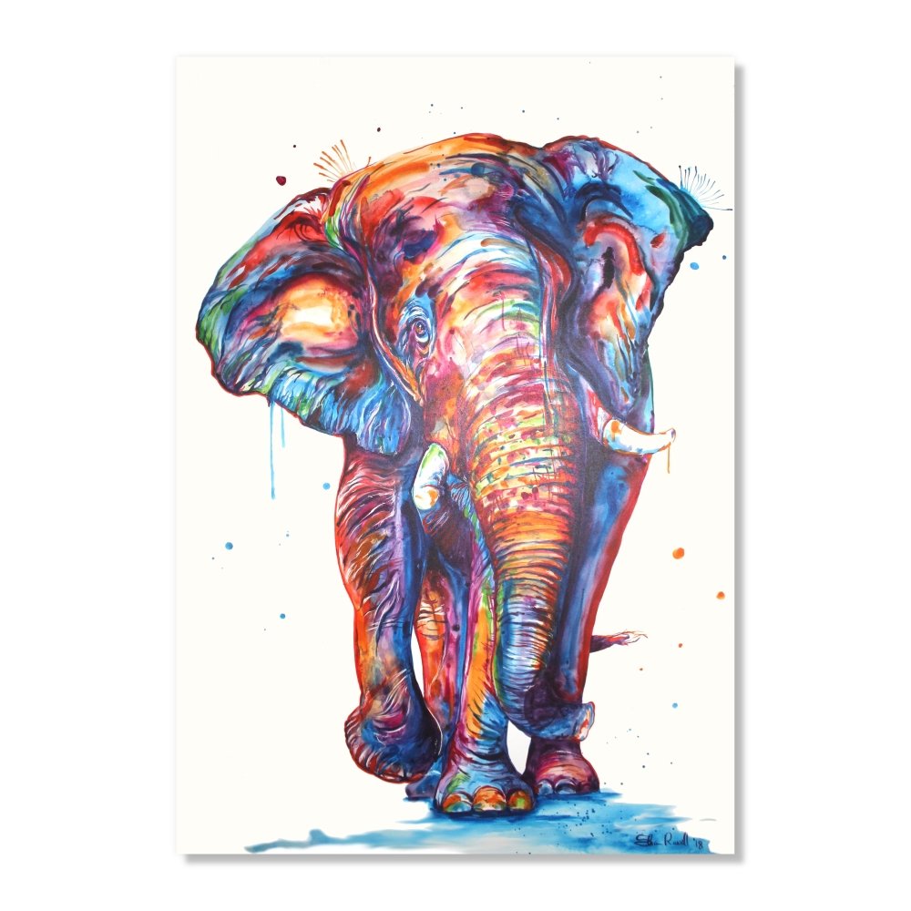 Elephant – Shaunna Russell